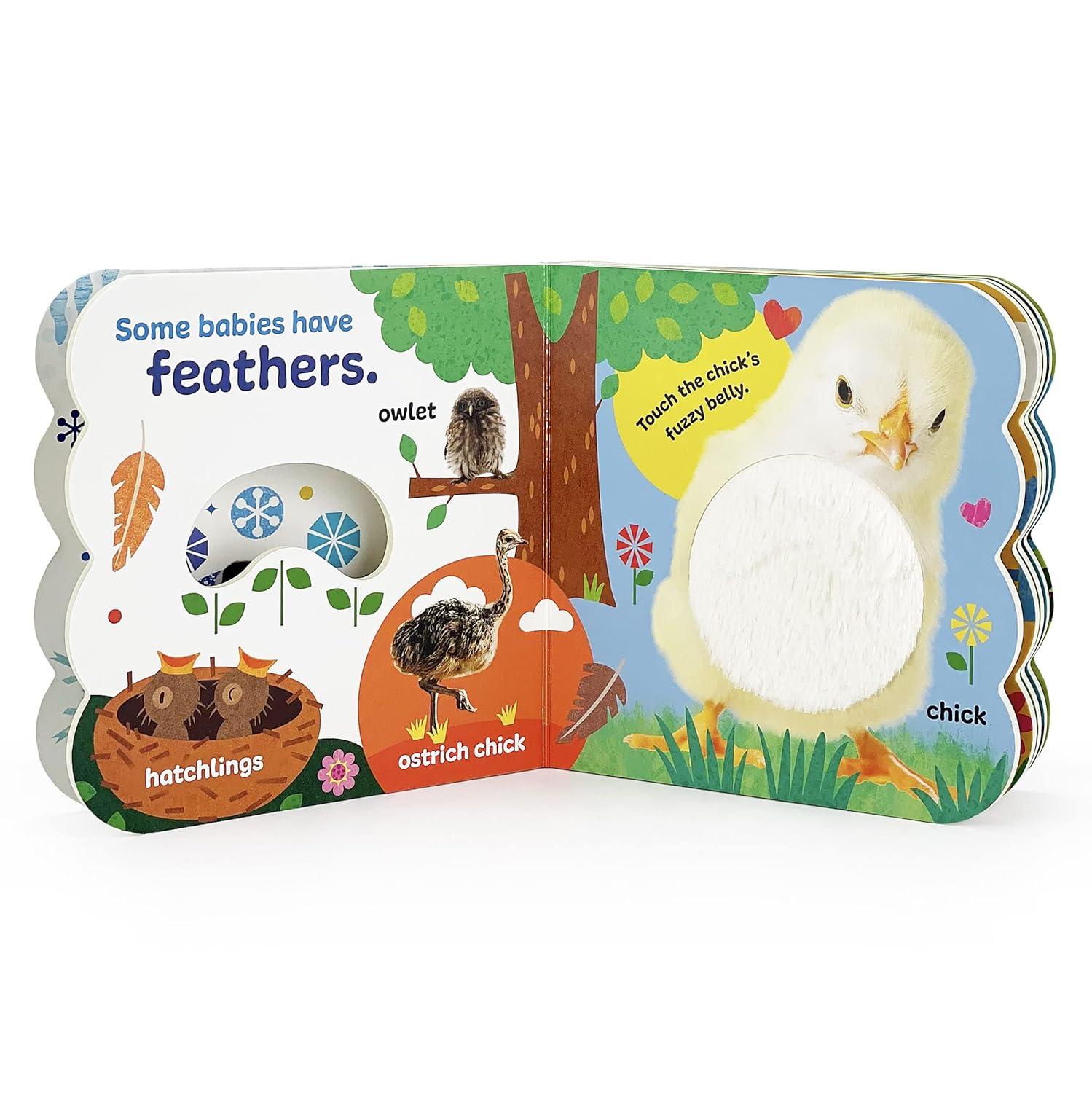 Touch & Feel Baby Animals Board Book – Blossom
