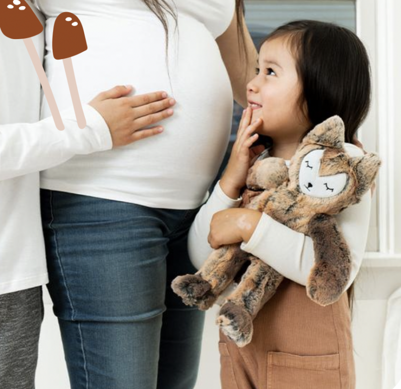 Slumberkins Fox Kin and Board Book for Family Change – Blossom